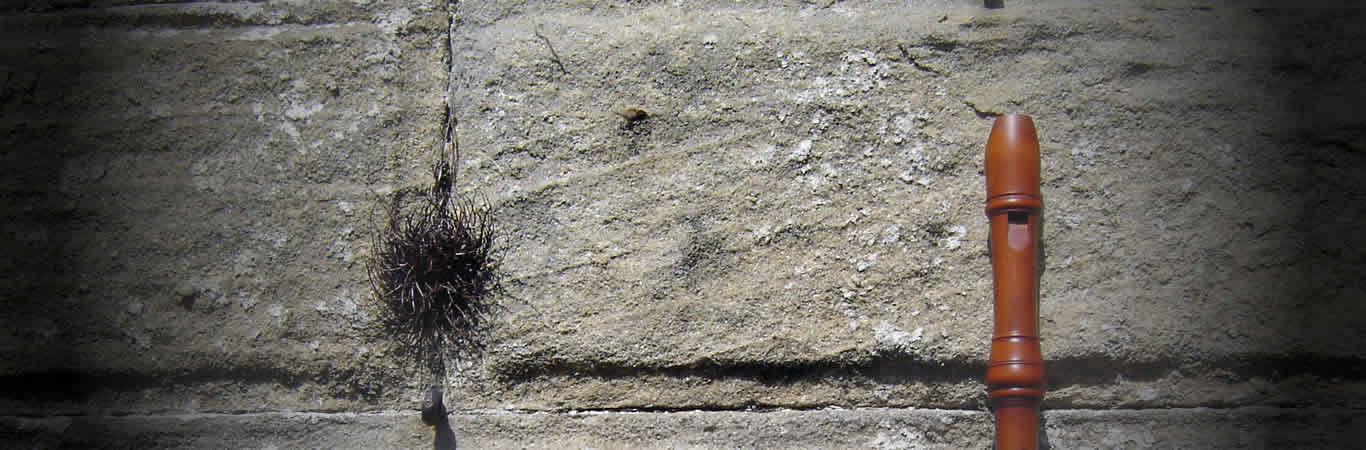 Fipple Flute - Video Playlist Presentation